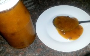 Appelkoos bladjang/chutney | Kreatiewe Kos Idees